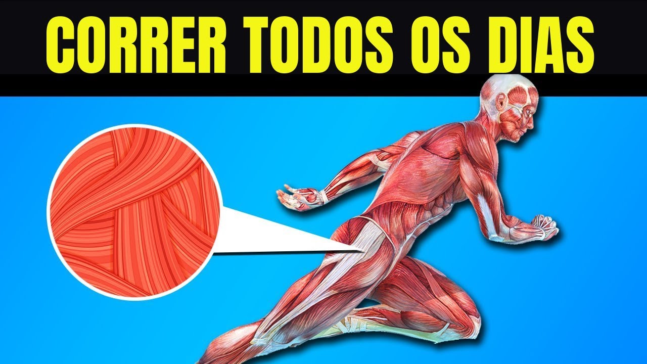 O Que Acontece Com Seu Corpo Quando VocÊ Corre 30 Minutos Todos Os Dias