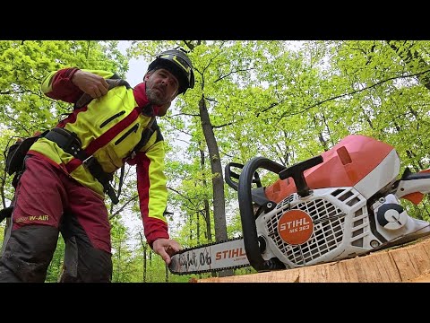 Upravená Stihl MS 363 💪 Ťažba DUBOV na novom úseku