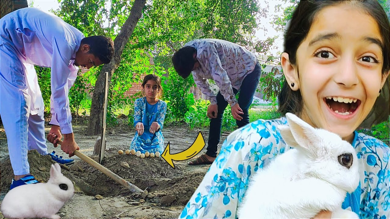 Beautiful Eyes Wala Rabbit Ly Aye 😍 Or Eggs Ky Sath Kya Kr Dea 🤣 - YouTube