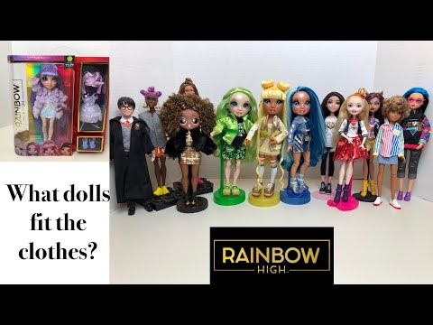What Dolls fit Rainbow High Clothes | RH Violet Willow Review