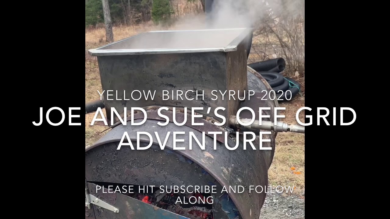 Day Two yellow birch syrup - YouTube