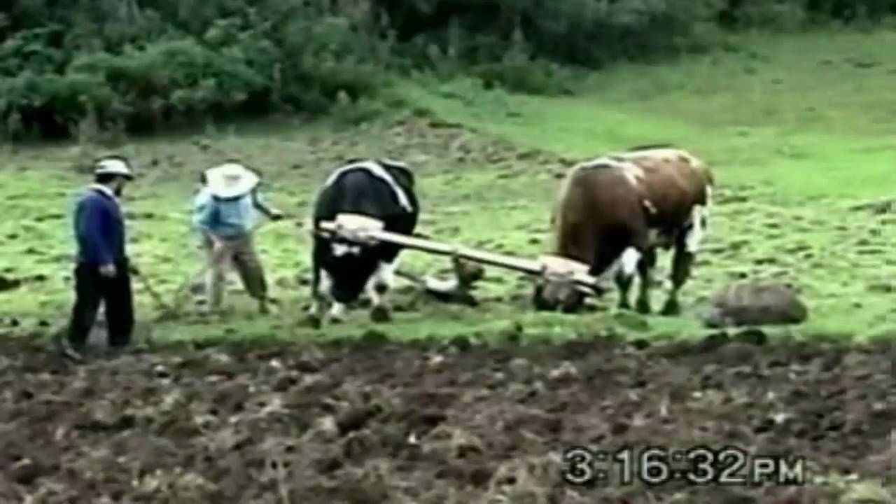 DISTRITO DE TONGOD - DOCUMENTAL PARTE 2/7 - YouTube