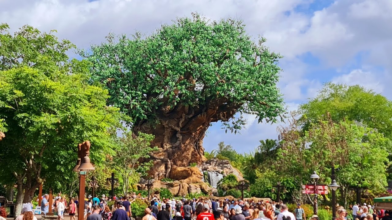 Animal Kingdom Exploring Africa, Tree of Life, Harambe, Gorilla Falls ...