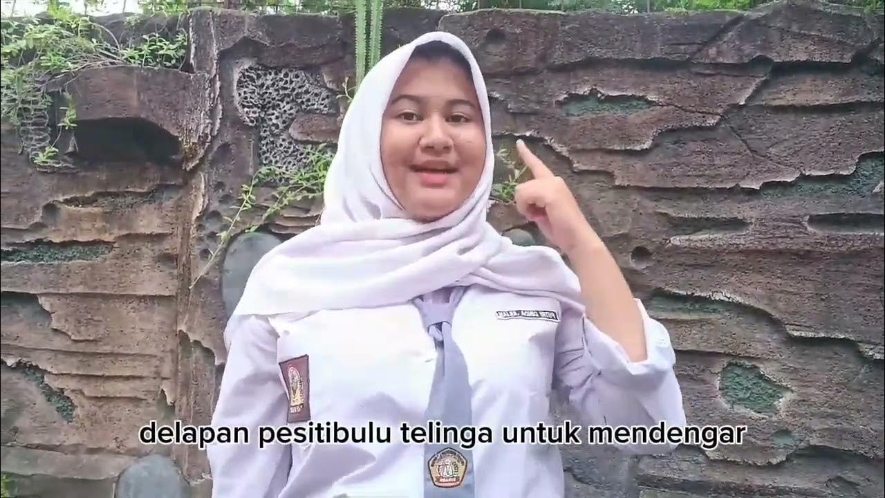 TUGAS IPPD 12 MACAM PASANG SARAF KRANIAL BESERTA FUNGSINYA - YouTube