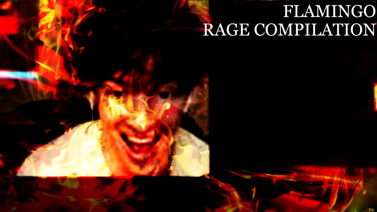 Flamingo Rage Compilation - YouTube