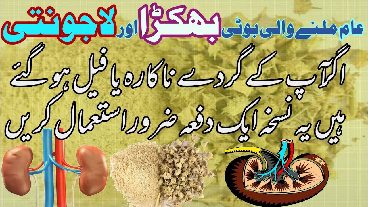 Gurde Fail Ya Nakara Hony Ka Desi Herbal Ilaj In Urdu Kidney Failure gurde-fail-ya-nakara-hony-ka-desi-herbal-ilaj-in-urdu-kidney-failure