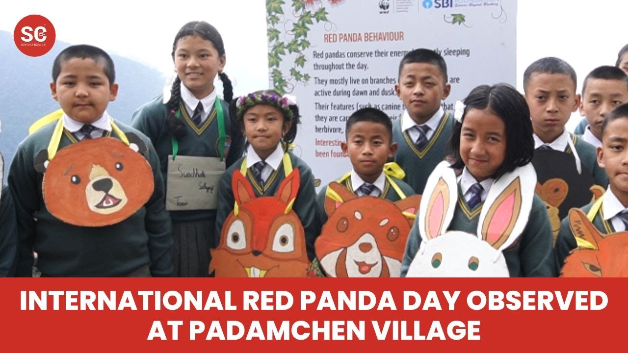 International Red Panda Day observed at Padamchen Village - YouTube