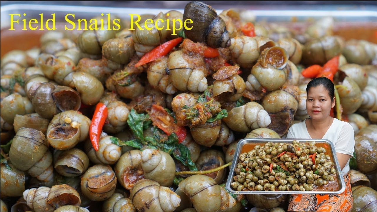 Yummy spicy hot field snails recipe - Davann cooking - YouTube