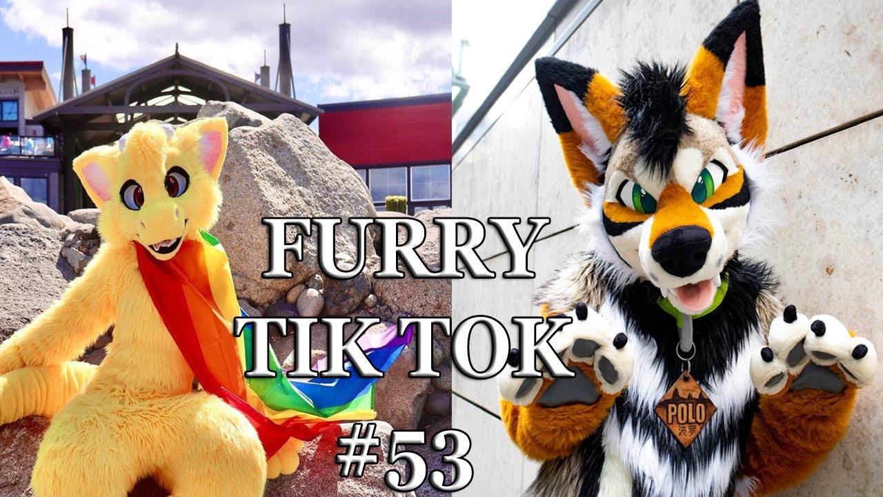 FURRY TIK TOK #53 - YouTube
