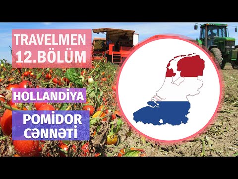 TravelMen 12.Bölüm - Hollandiya Pomidor Cənnəti