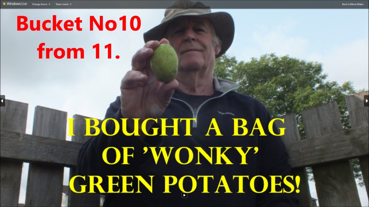 10. Grow Potatoes. 'Wonky' Bucket Potatoes This is Trial Bucket 10 of ...