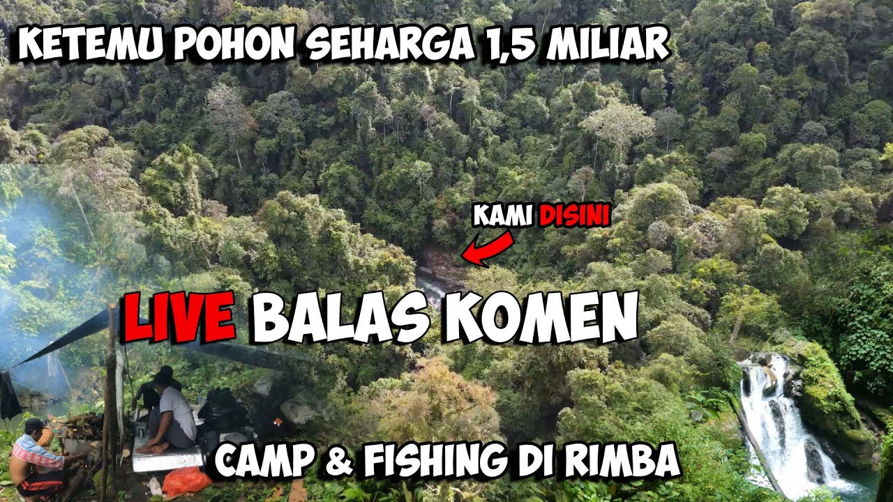 LIVE BALAS KOMEN - YouTube