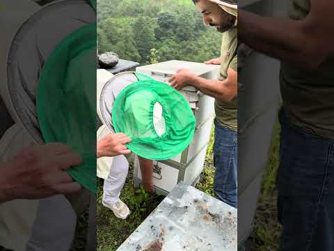 MUTLU ARICI ZİYARETLERİ 26-27-28-29 GİRESUN ANKARA KIRIKKALE İRFAN NACAK      