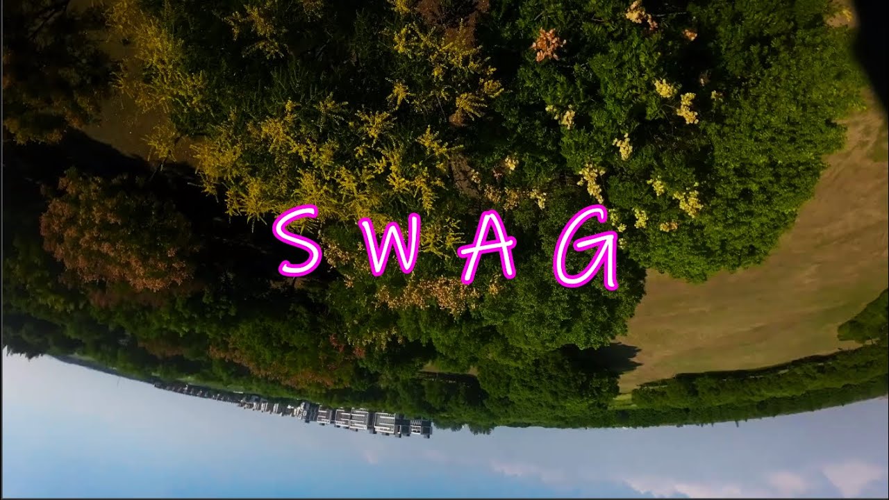 𝓢𝓦𝓐𝓖 / FPV Freestyle - YouTube