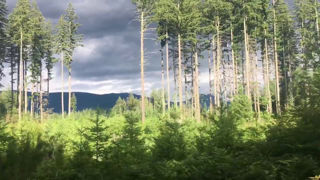 Sultan Basin Road descent (UNCUT 60FPS) - YouTube