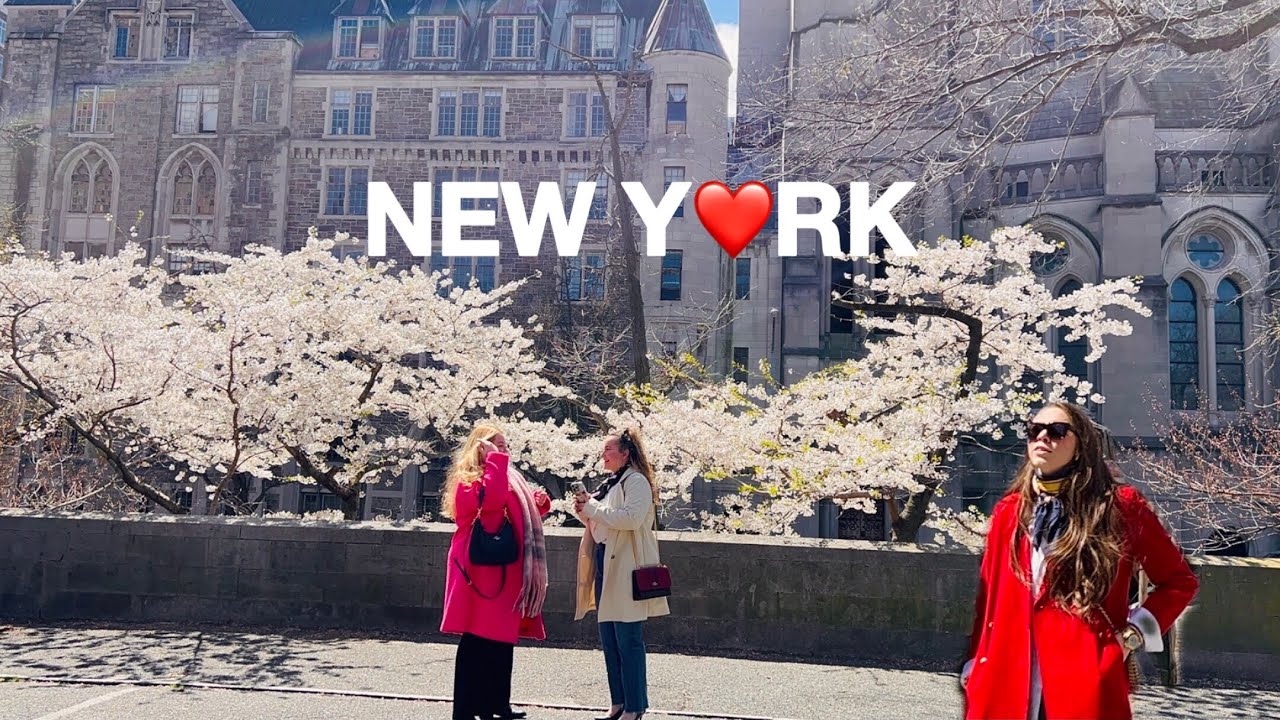 [4K]🇺🇸NYC Spring Walk🗽Beautiful Sunday in New York City 🌸Sakura Park ...