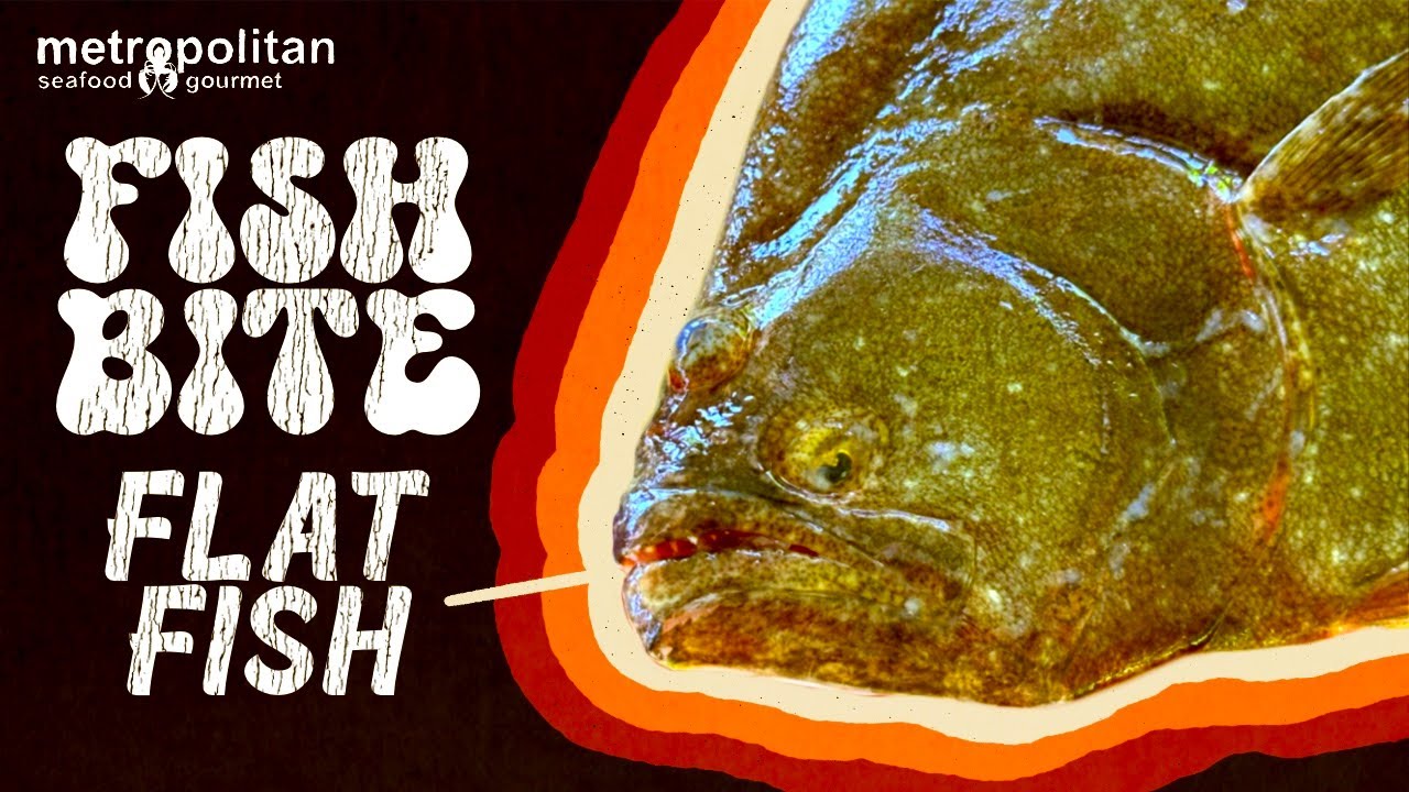 FISH BITES | FLAT FISH - YouTube