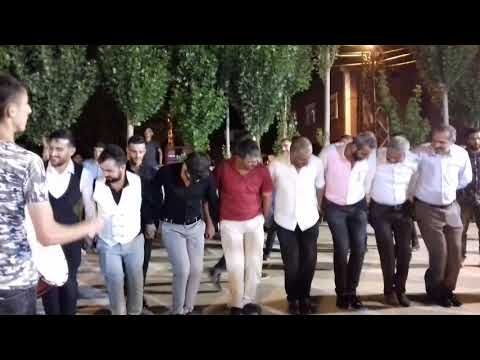 Muş sungu dugunleri