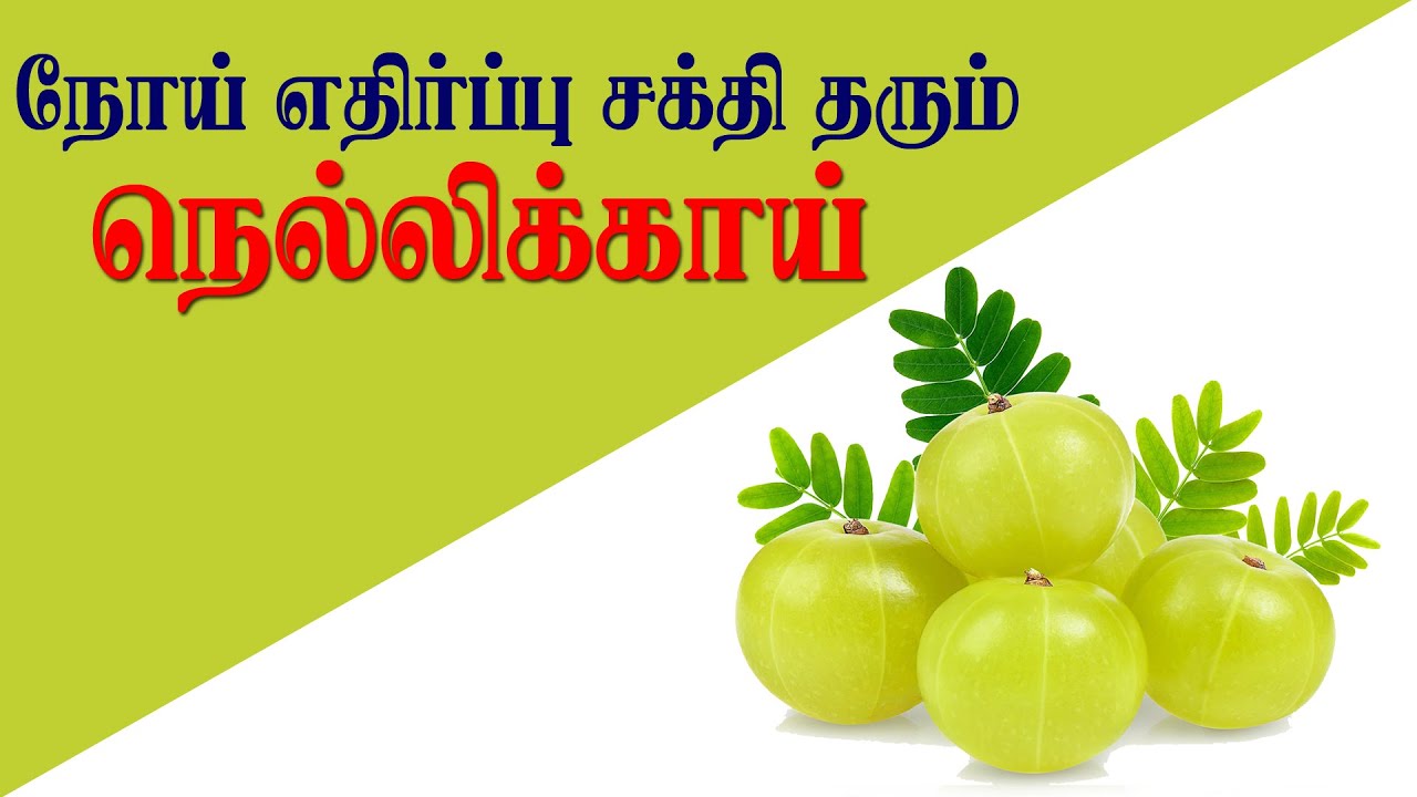 nellikai benefits in tamil II indian gooseberry II நெல்லிக்காய் தரும் ...