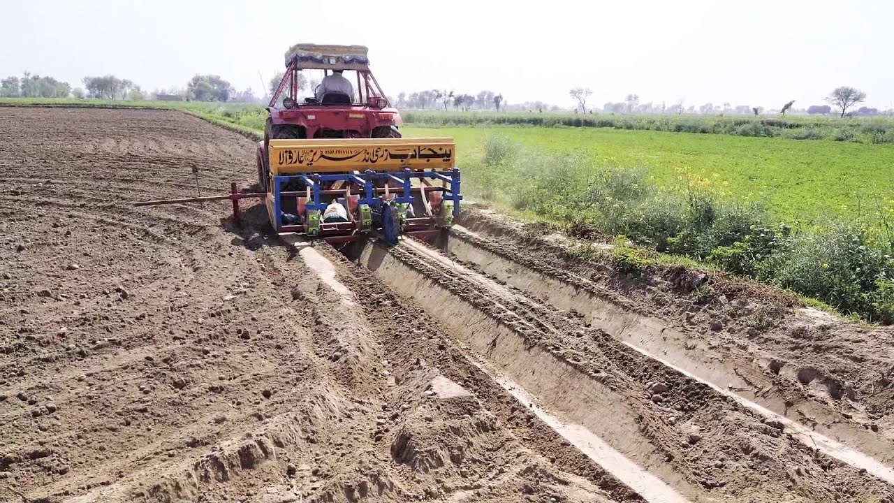 Planting maize from machine03452323523 - YouTube