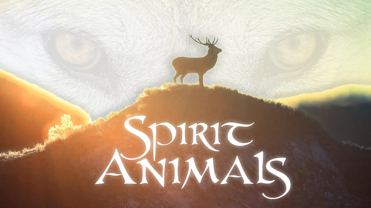 Uncovering the Power of Spirit Animals: A Journey into Their Mystical ...