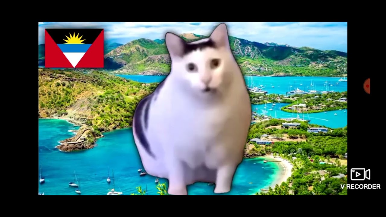 cat meme with different countries (p2) - YouTube
