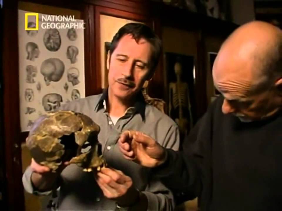 DNA Mysteries: The Search For Adam - National Geographic Documentary HD ...