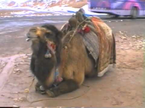 Türkei-Tour 1995 (Teil 15): Finale in Kappadokien