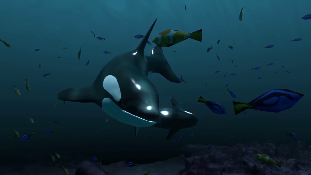 Orca Project : Adding Sound and Fishes Simulation - YouTube