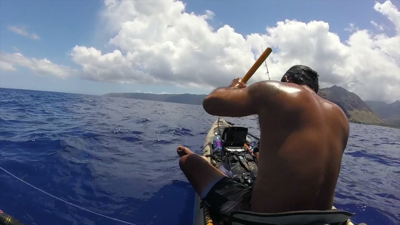 AQUAHUNTERS TV Kayak fishing with live opelu for bait. - YouTube