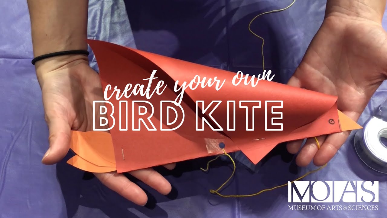 DIY Paper Bird Kite - YouTube