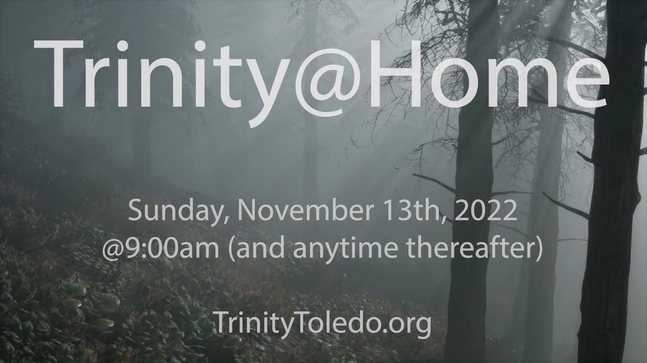 Trinity@Home: Twenty-Third Sunday After Pentecost - November 13, 2022 ...