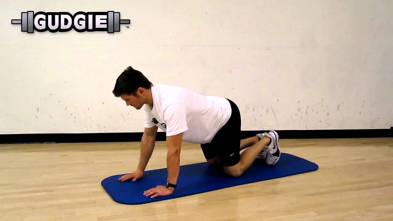Floor opposite arm and leg extension - YouTube