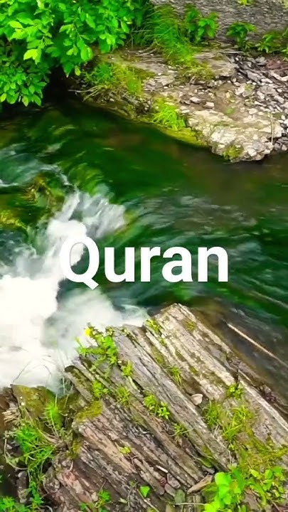 Surah Al Qalam ayat 44 45 urdu translation Surah Al Qalam ayat 44 45 urdu translation