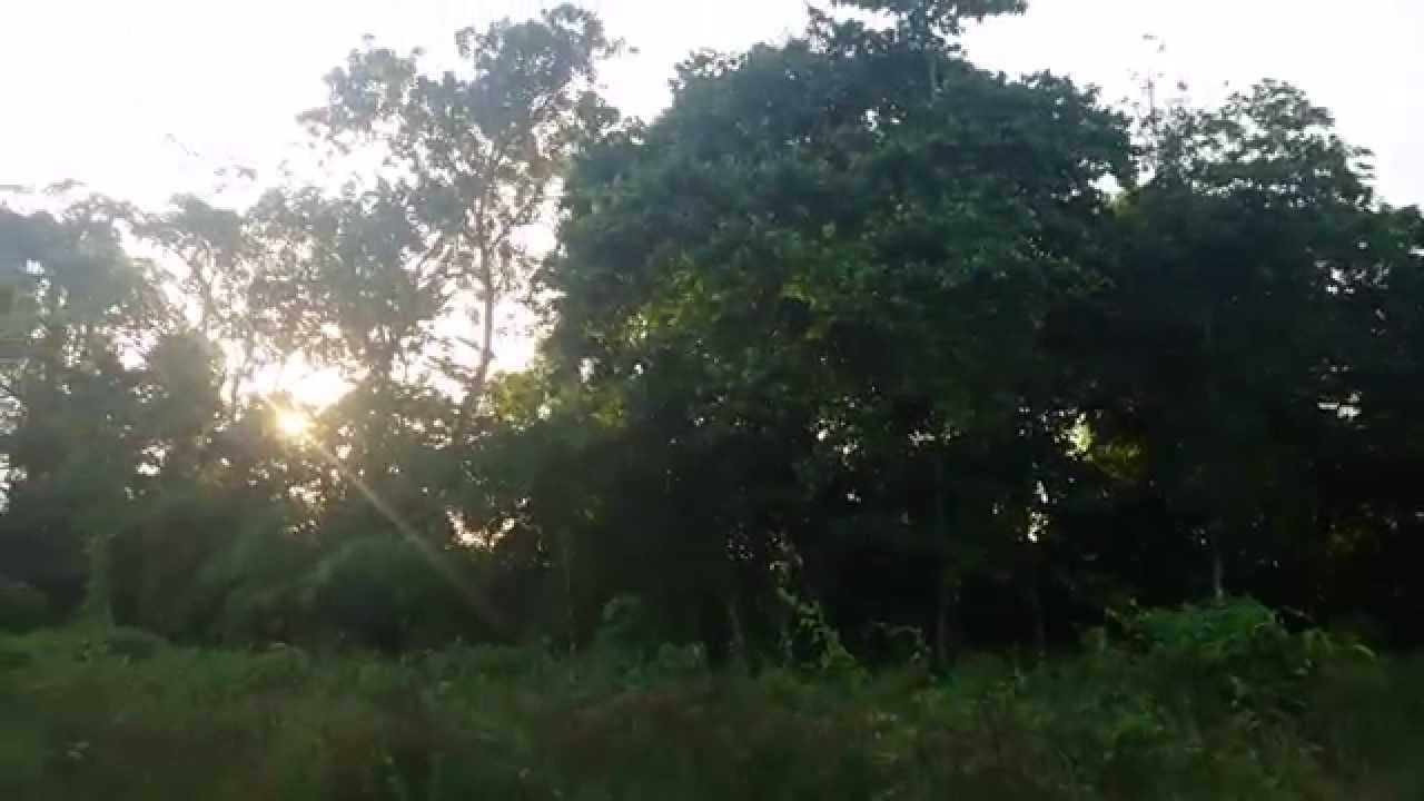Guyana in 4K with Amazing Sunset - YouTube