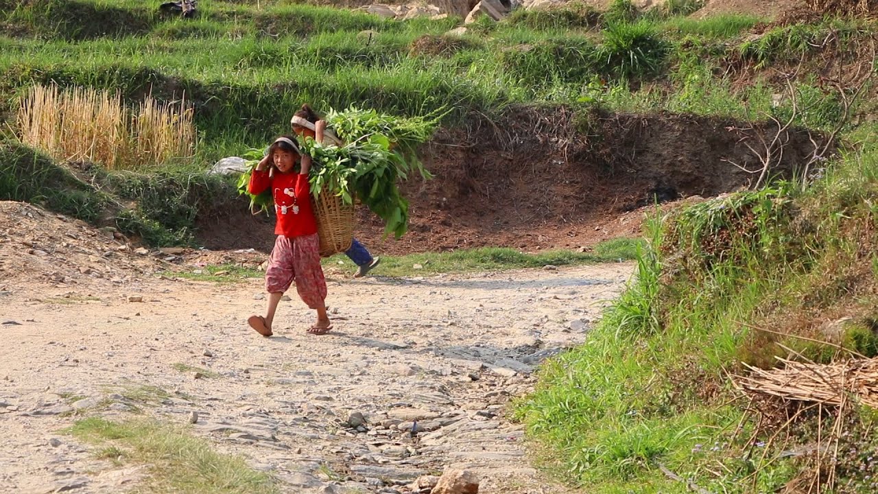 Typical Rural Village Lifestyle Usinng Primitive Technology Farmer ...