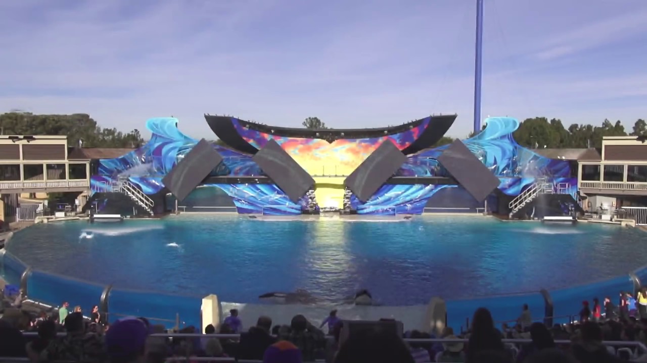 The Complete 2016 One Ocean Shamu Show at SeaWorld - YouTube