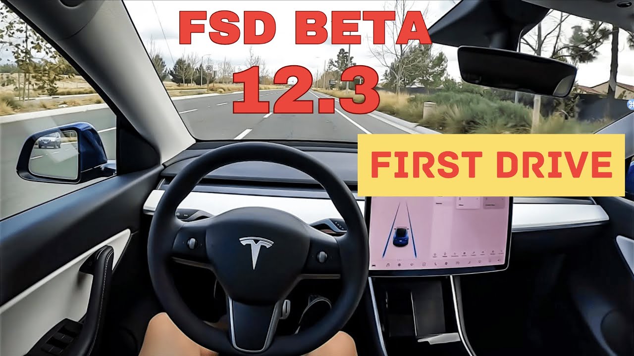 Tesla FSD Beta 12.3 - My First Driving Experience | Teslavian - YouTube