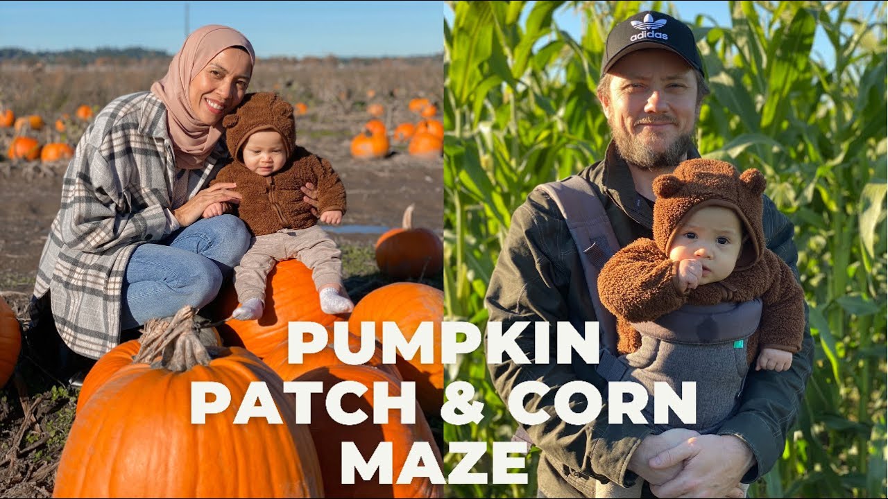 Jom Tengok Ladang Labu | Pumpkin Patch & Corn Maze - YouTube