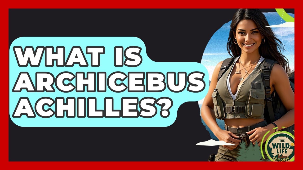 What Is Archicebus Achilles? - The Wild Life Explorer - YouTube