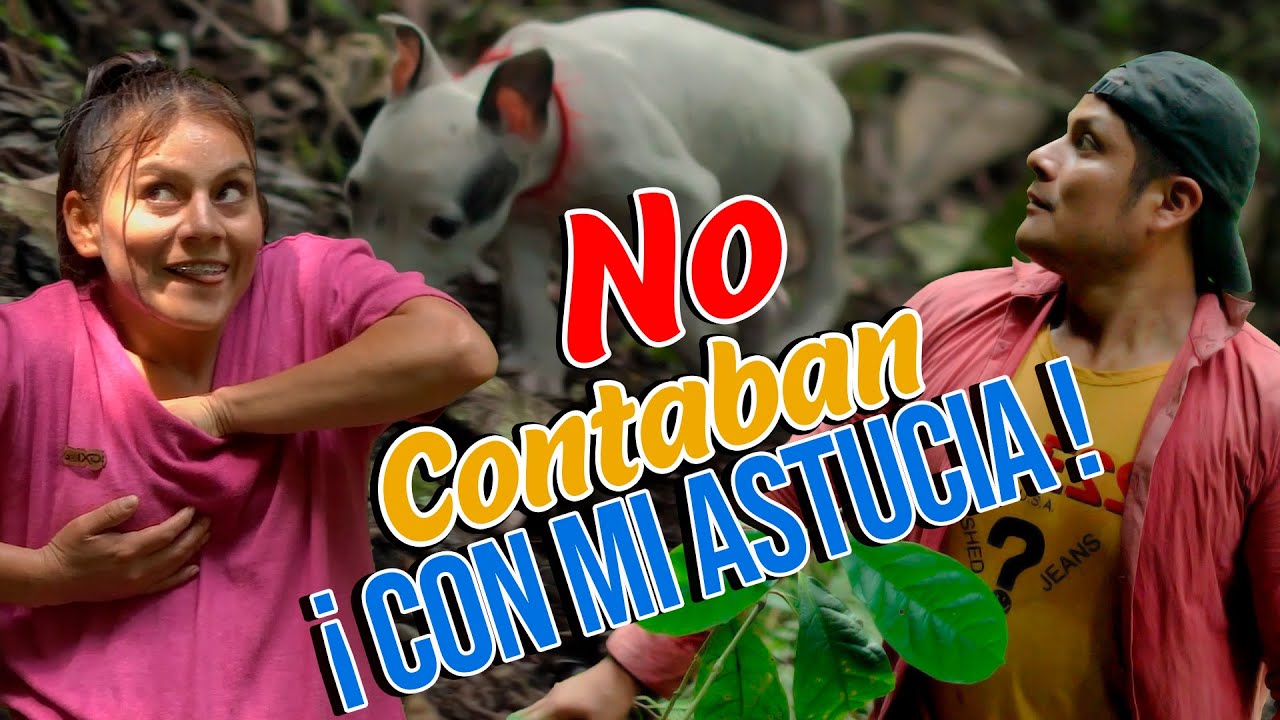 NO CONTABAN CON MI ASTUCIA - YouTube