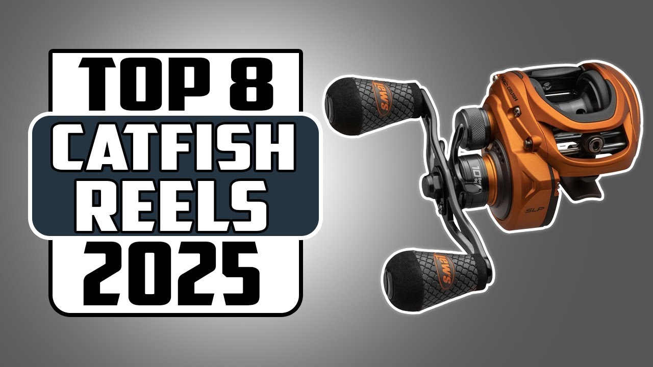 Best Baitcasting Reels for Catfish in 2025 / What’s Worth Your Money ...