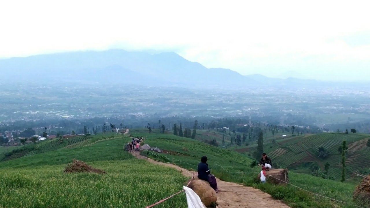 BAWANG MERAH BARU GANTUNG GARUT DI LEMBAH CIKURAY | INDAH DAN SEJUK ...