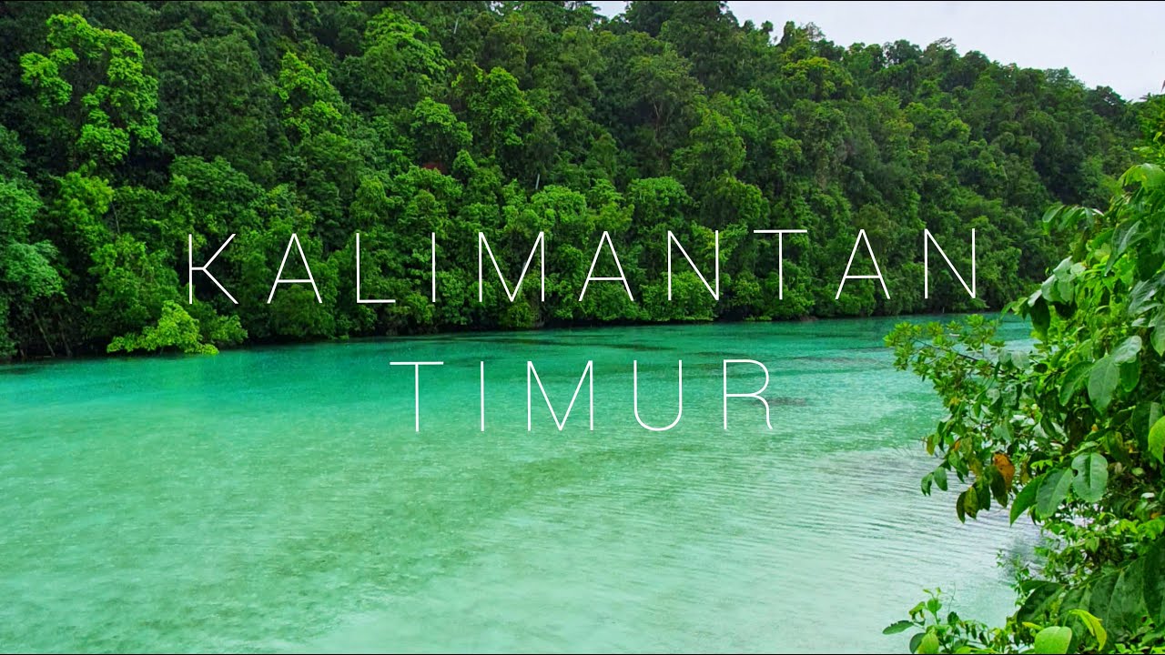 Alam Raya Kalimantan Timur | Nature Cinematic video - YouTube