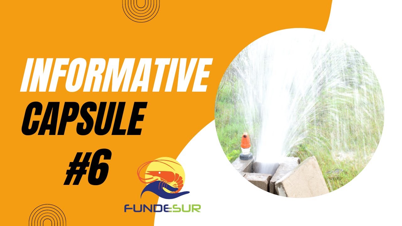 Informative Capsule #6 - YouTube