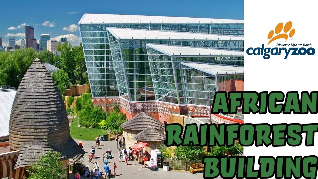 Rainforest Building Calgary Zoo | African Rainforest #calgary # ...