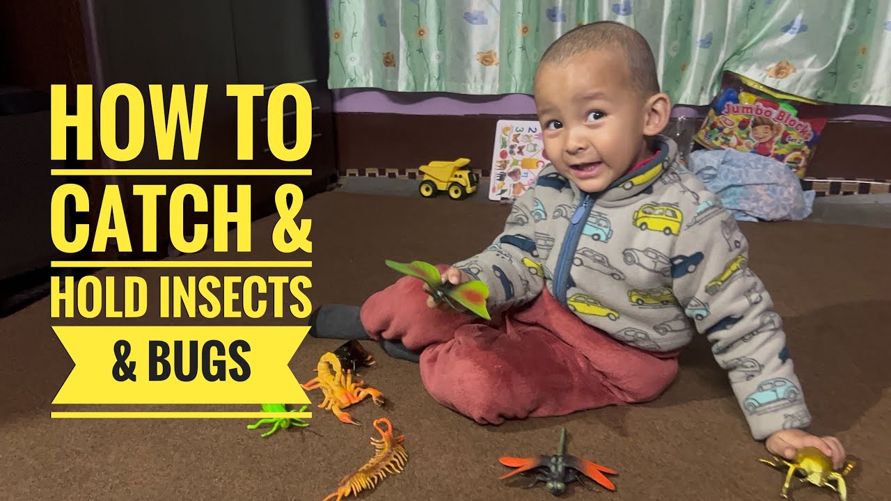 Aiden's Bug Adventures: The Ultimate Insect Catching Tutorial! 🐜🌟 - YouTube