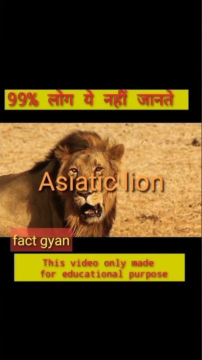 Amazing fact| Random fact| fact gyan|Mr gyani |#facts #shorts #youtubeshorts - YouTube