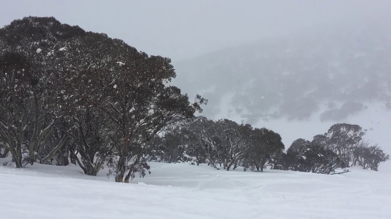 Manipulator Gerard Masters Piano - YouTube