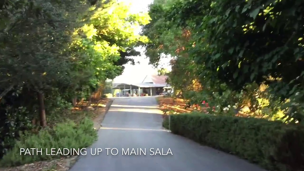 Metta Forest Monastery Valley Center, CA - July 1-3 2017 - YouTube